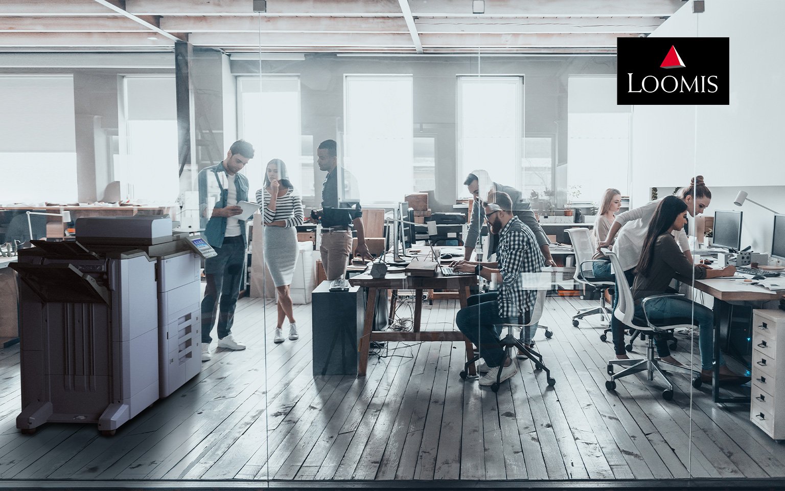 Loomis customer success story